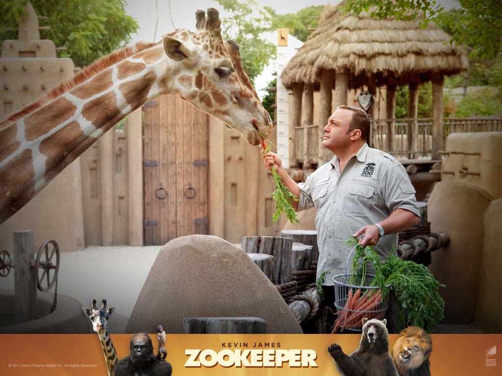 A MILLION OF WALLPAPERS.COM: KEVIN JAMES ZOOKEEPER MOVIE WALLPAPERS