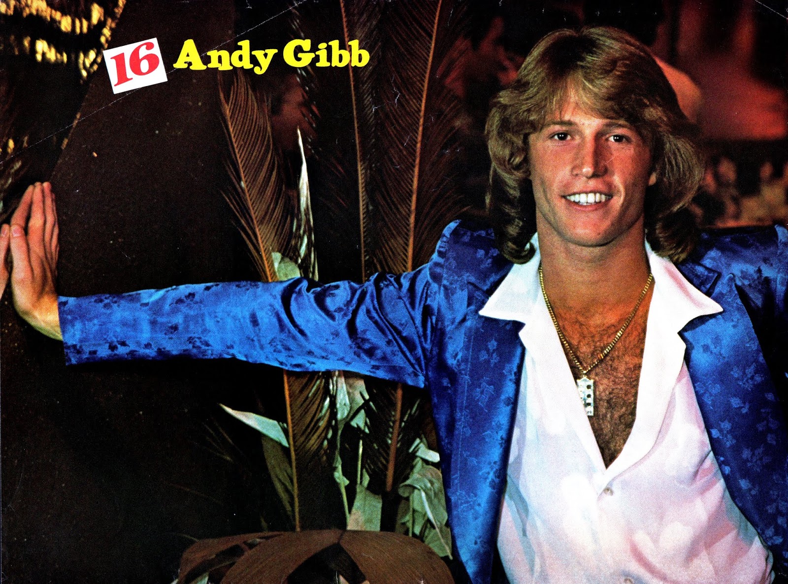 Lansure's Music Paraphernalia: ANDY GIBB | BEE GEES
