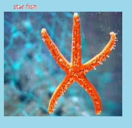 They have no brain or blood!