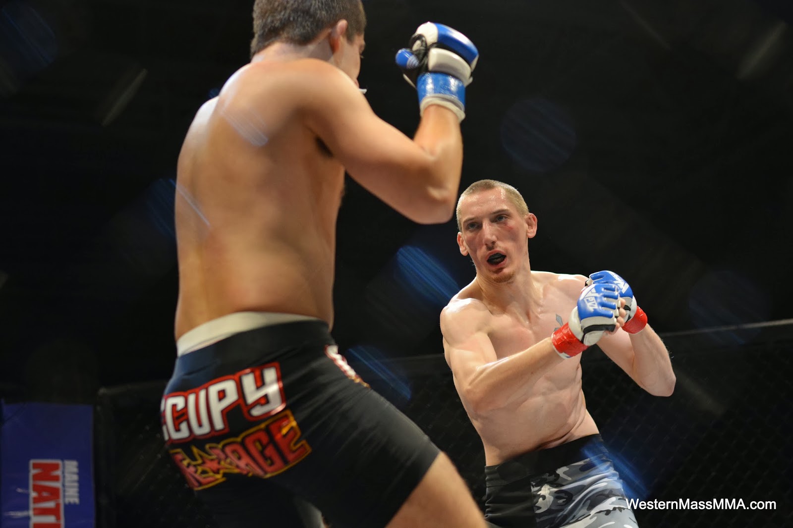 WesternMassMMA.com News, Reviews, Videos, Previews: NEF Fight Night XII ...