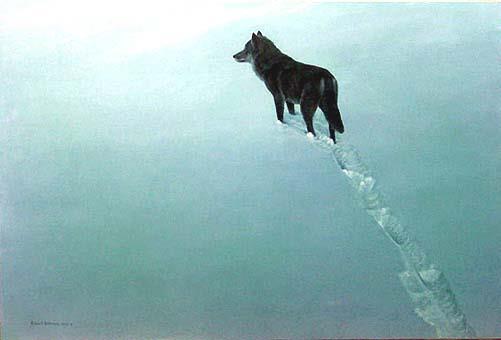 White Wolf : Robert Bateman : Well known and talented Canadian Wildlife ...