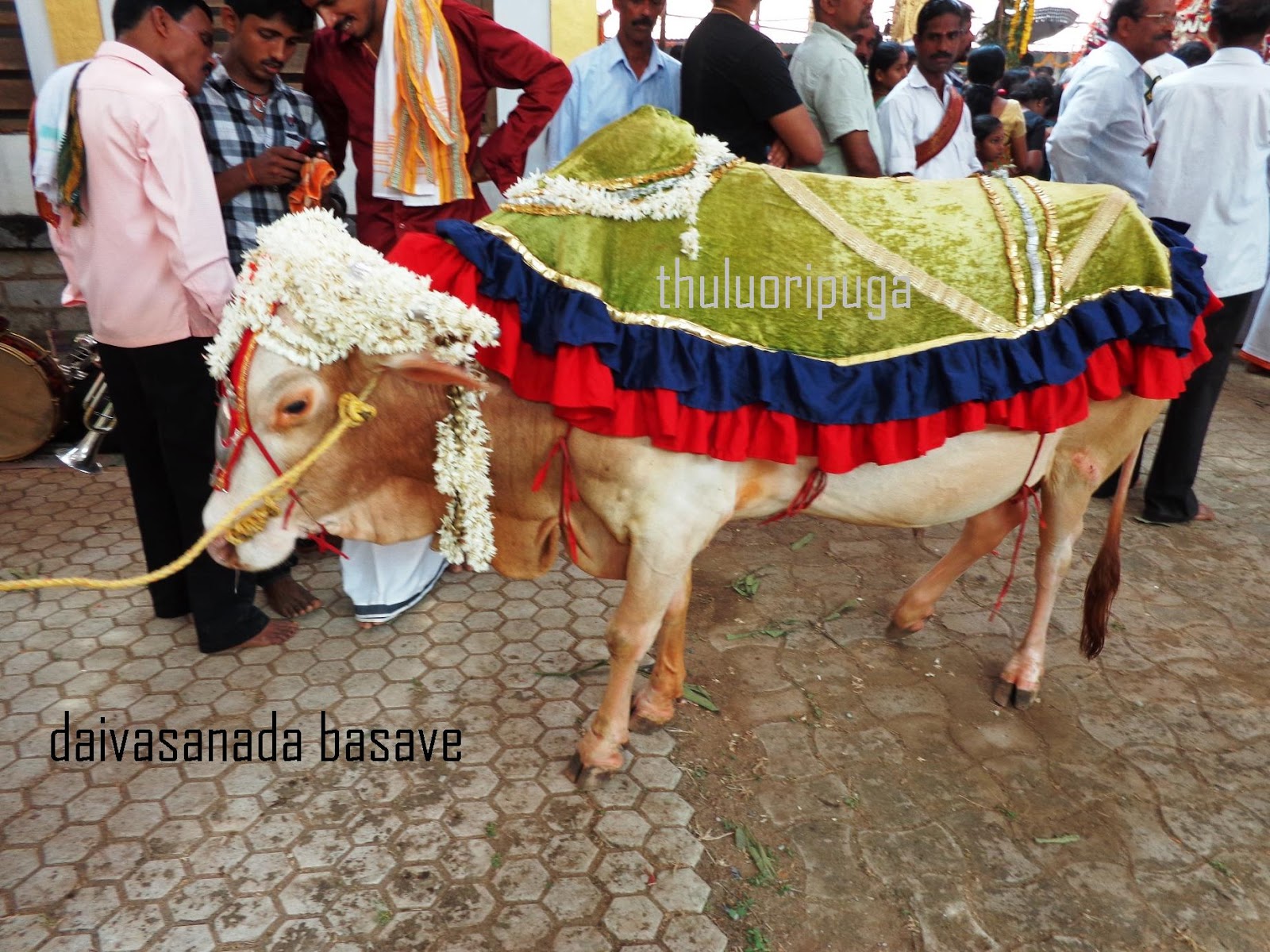 THULU ORIPUGA-kavyasutha : ನಾಲ್ಕೈದಾಯ ದೈವ ಸಾನ ಸಜಿಪ