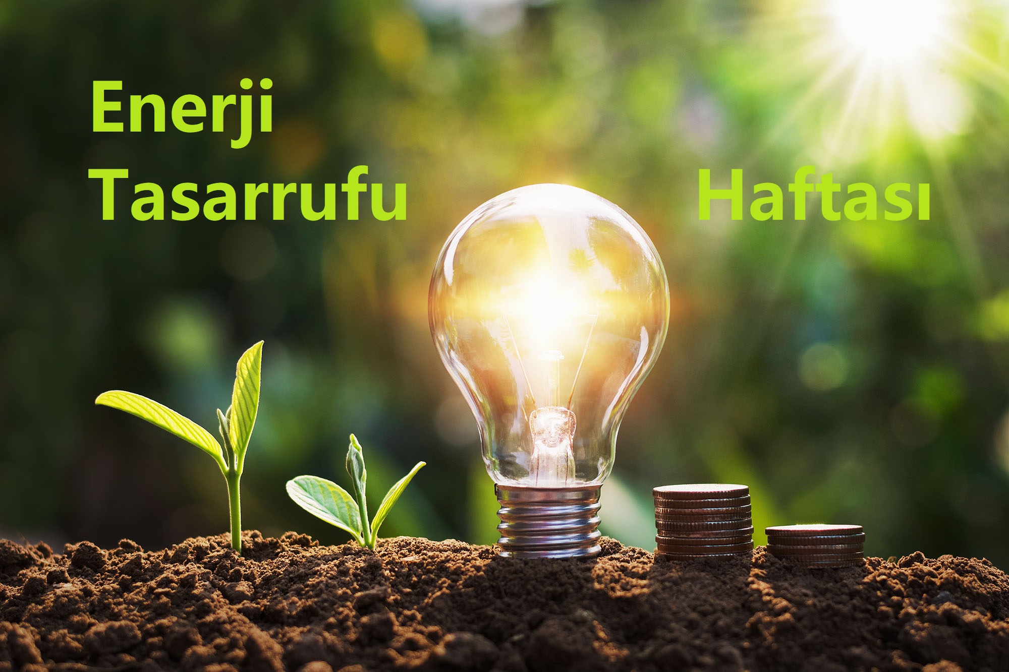 Enerji Tasarrufu Haftası - BilginCin