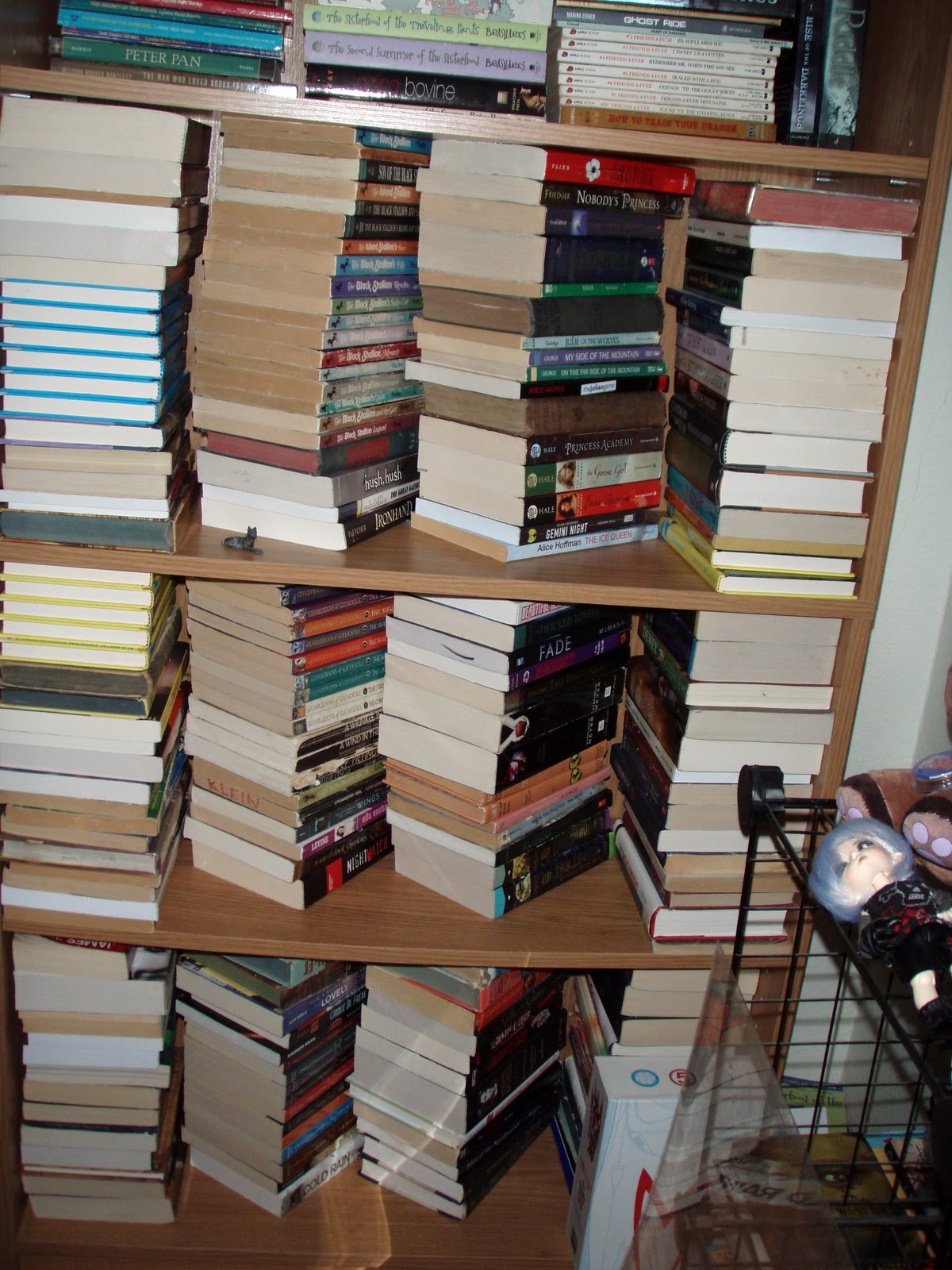 Reading is Dreamy: Book Shelf Tour