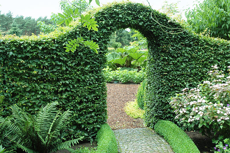 Efficiënt en milieuvriendelijk tuinonderhoud: Hagen