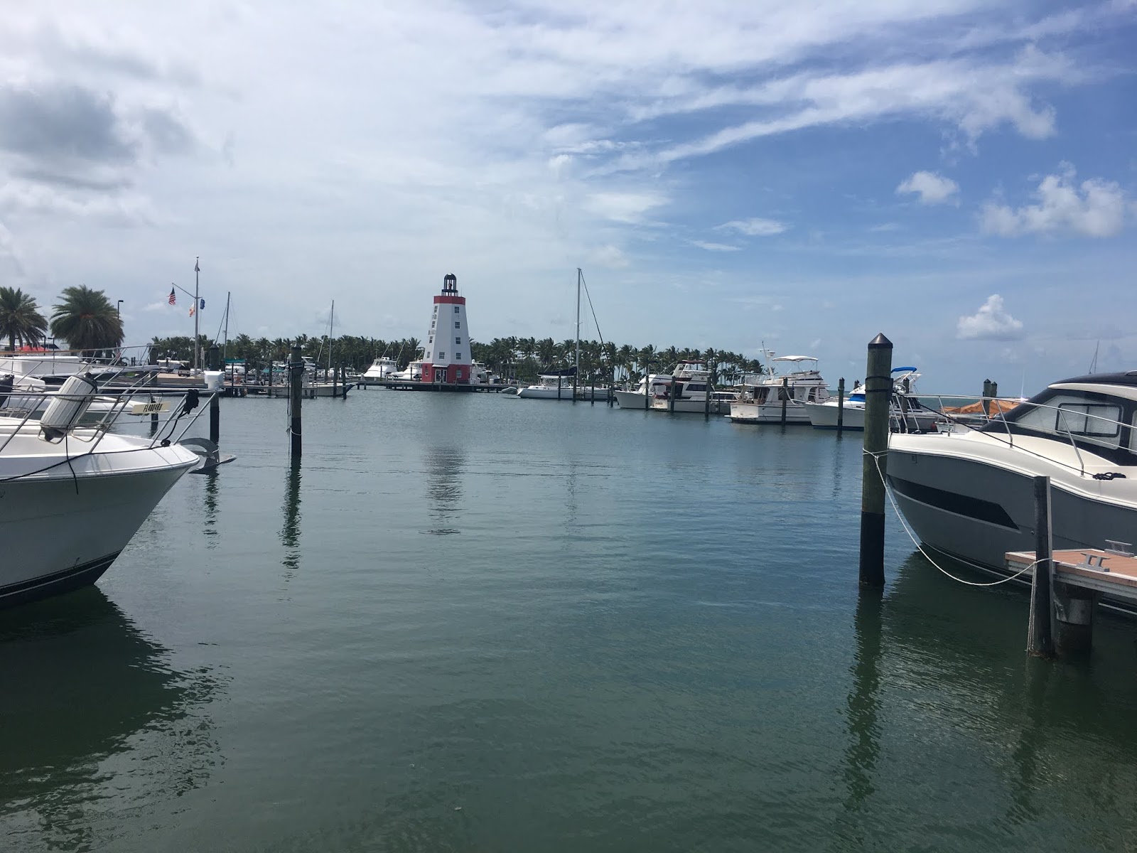 Aquaholic: Tuesday 6/2/2020 - Boot Key Florida (Marathon)
