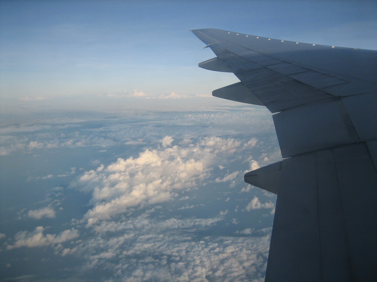 Asian Flier | アジアン・フライヤー: 【搭乗記】ユナイテッド航空 UA804便 B777-200ER エコノミープラス ...