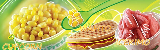 Daily Fresh's Franchise: Daily Fresh Foods Group