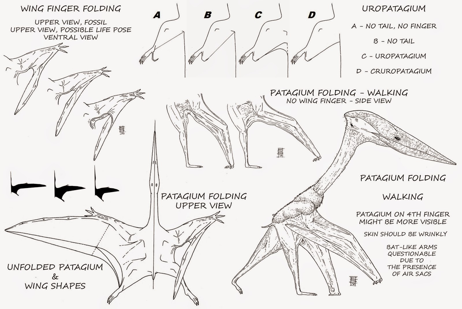 Sculpt done, Quetzal almost ready for flight : r/Naturewasmetal