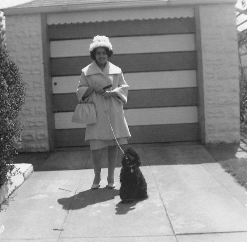 40 Cool Photos Capture People With Their Poodles in the 1950s and ’60s ...