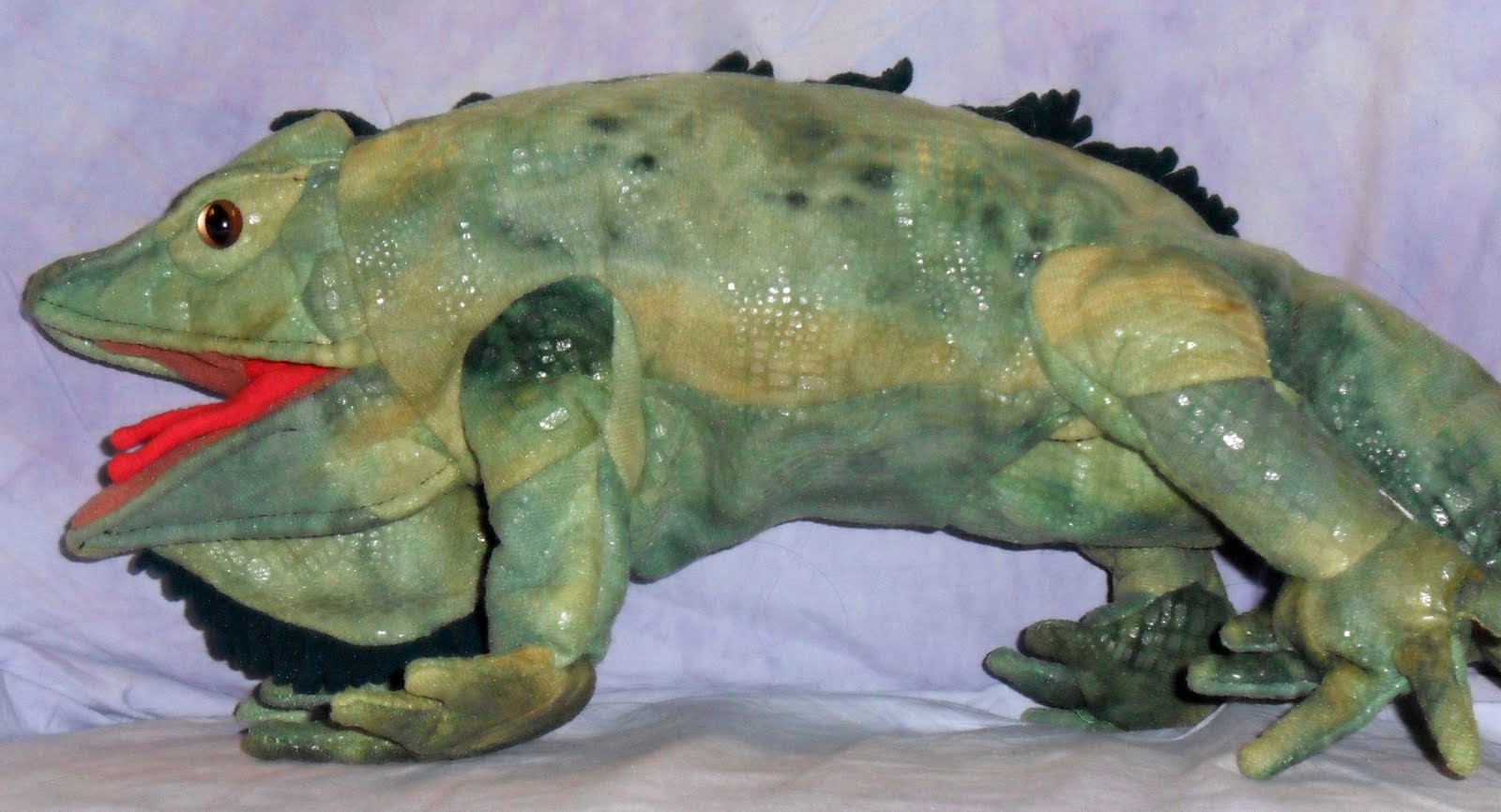 Beyond the Book Storytimes: Lizard, Bear, and Funny Songs