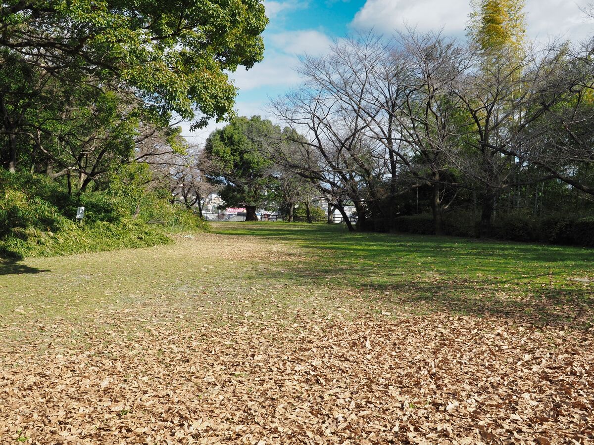 Oda Nobunaga-The warlord who changed Japan!: 2021