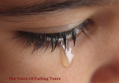 The Voice of Falling Tears