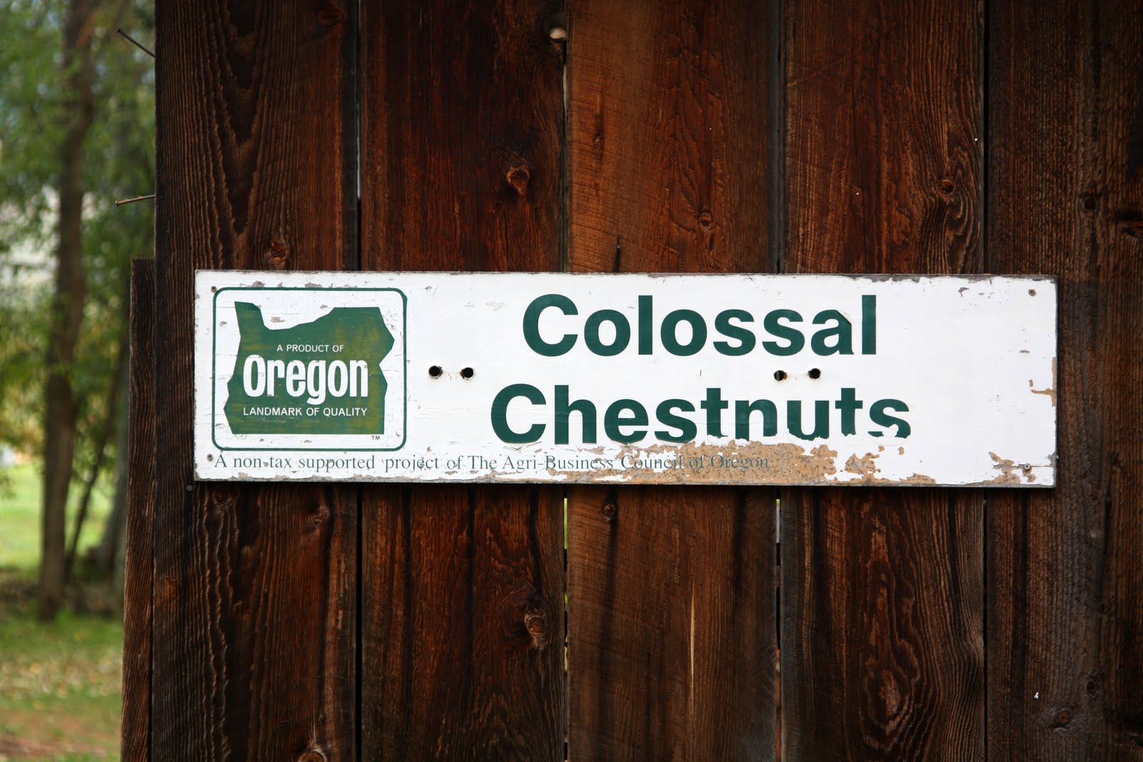 Hungry Cravings: Chestnuts and Thanksgiving