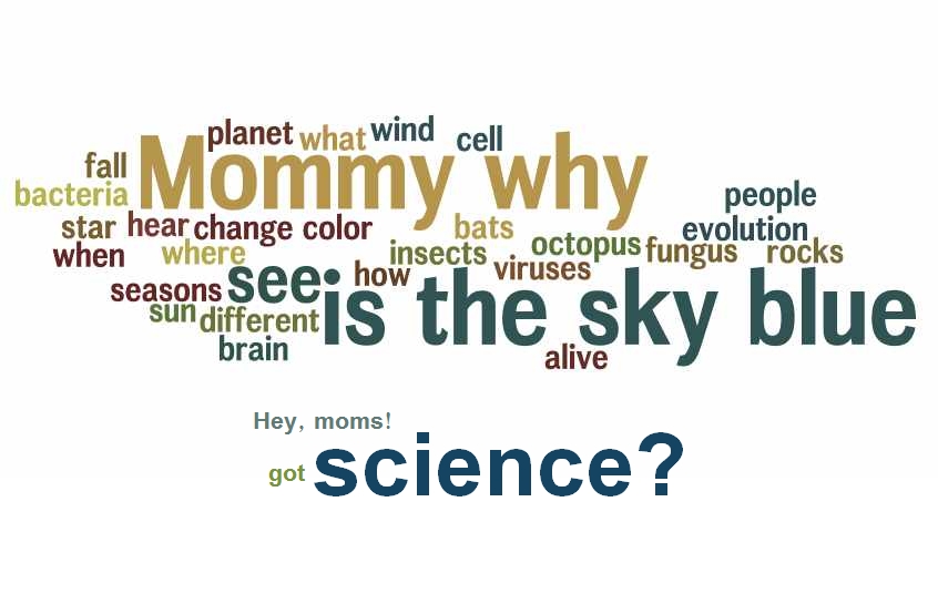 Computing, Electronic And All Sciences: 50 Interesting Science Facts