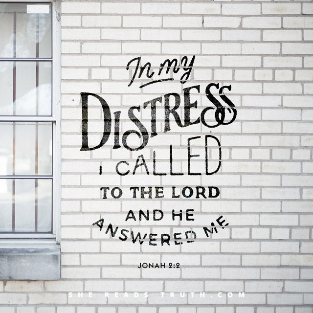 La Soñador ~: Weekly Bible Reading ~ Jonah 1-4