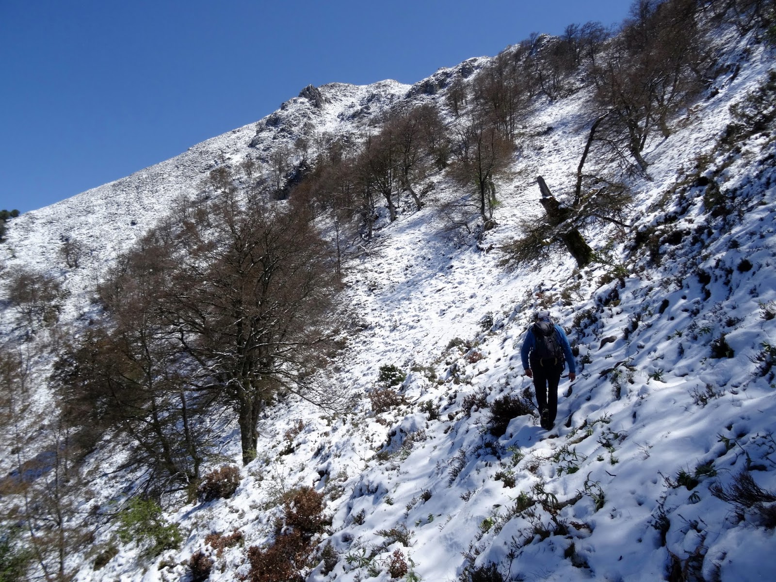 Pindio, pindio: Ribota-Felguera-Doñango-La Collá Pelúgano-La Pandiella ...