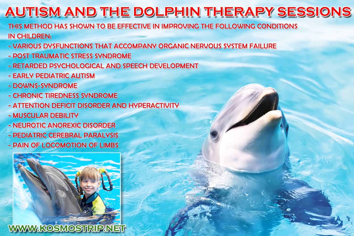 Autism in Paradise: What Constitutes a Free and Appropriate Public ...