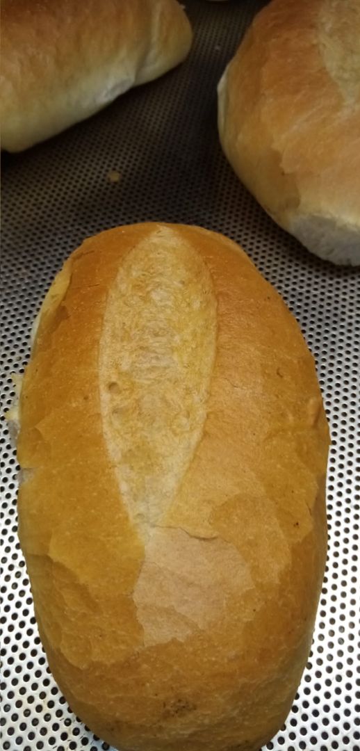 Pane Fatto In Casa Panini All'Olio