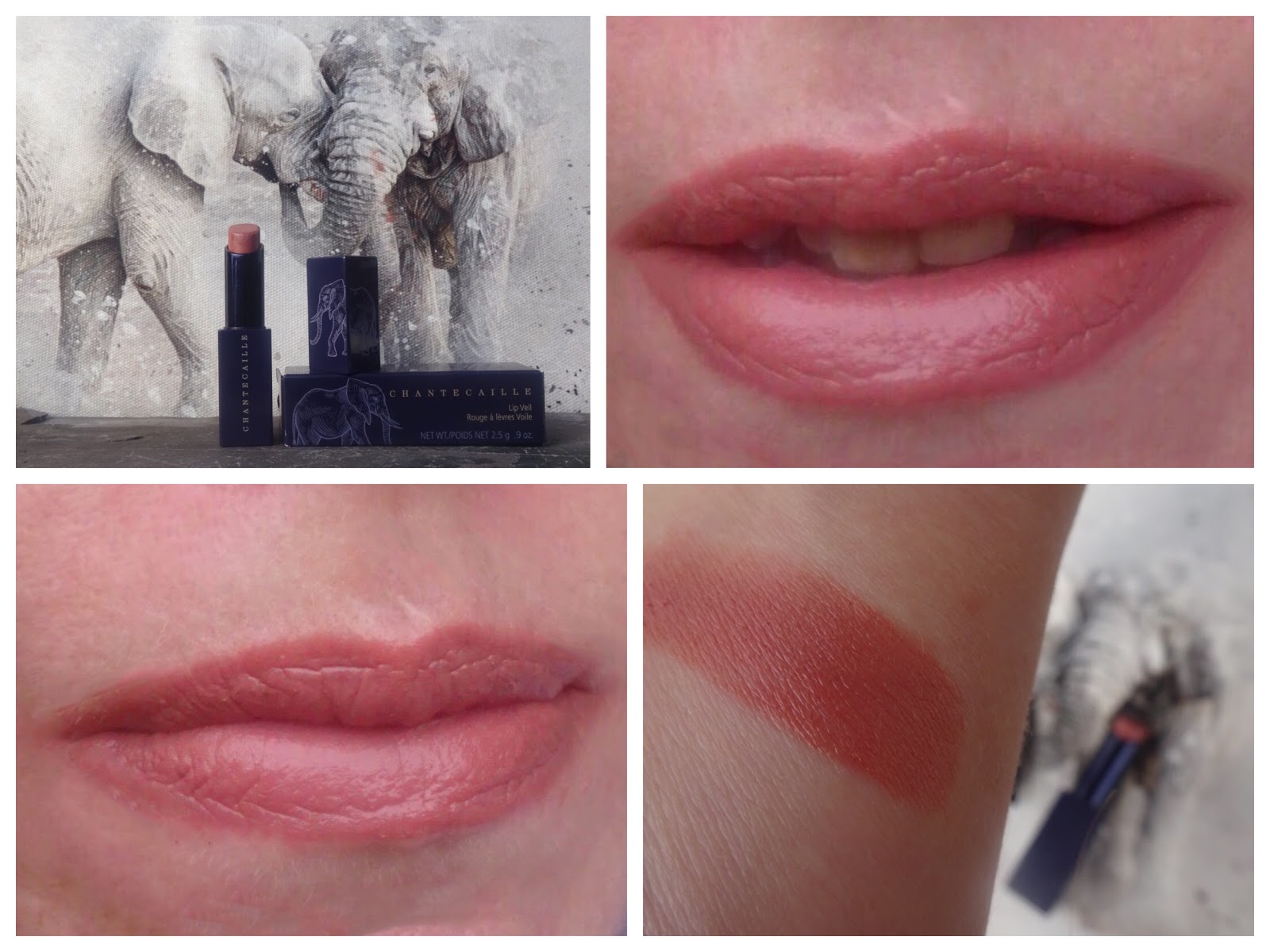 Sparkling Magpie : Chantecaille: Lip Veil In Tamboti & Luminescent Eye ...