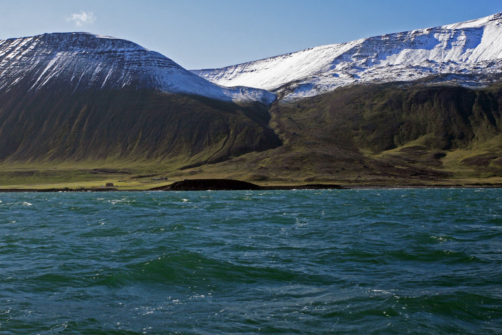 The Saga-Steads of Iceland: A 21st-Century Pilgrimage: Sheep Past and ...