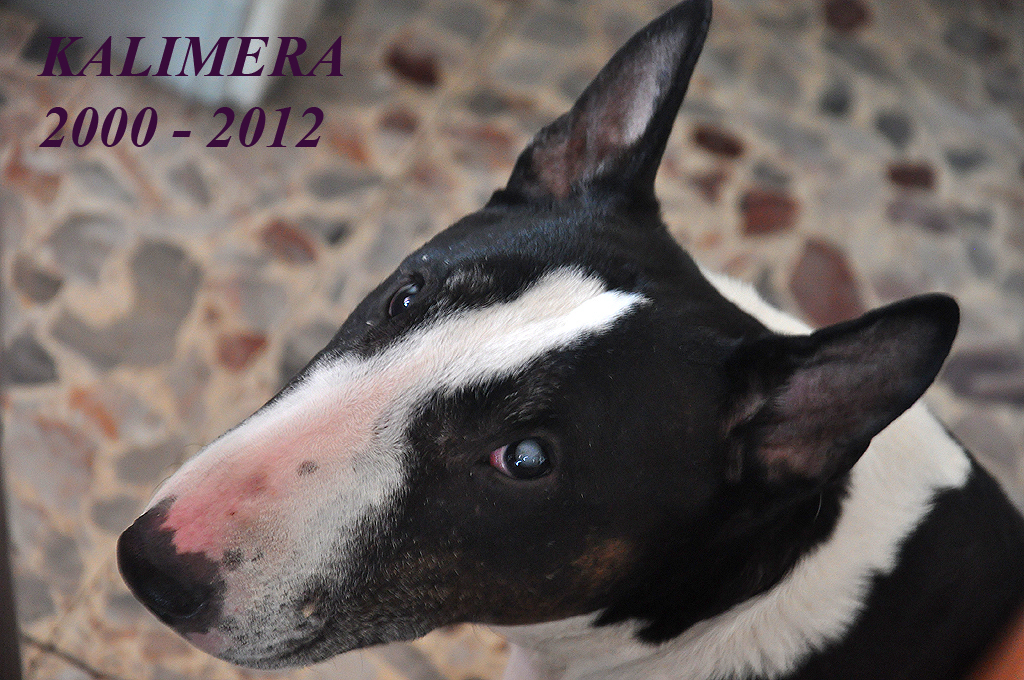 Torino In My eyes: October 2012