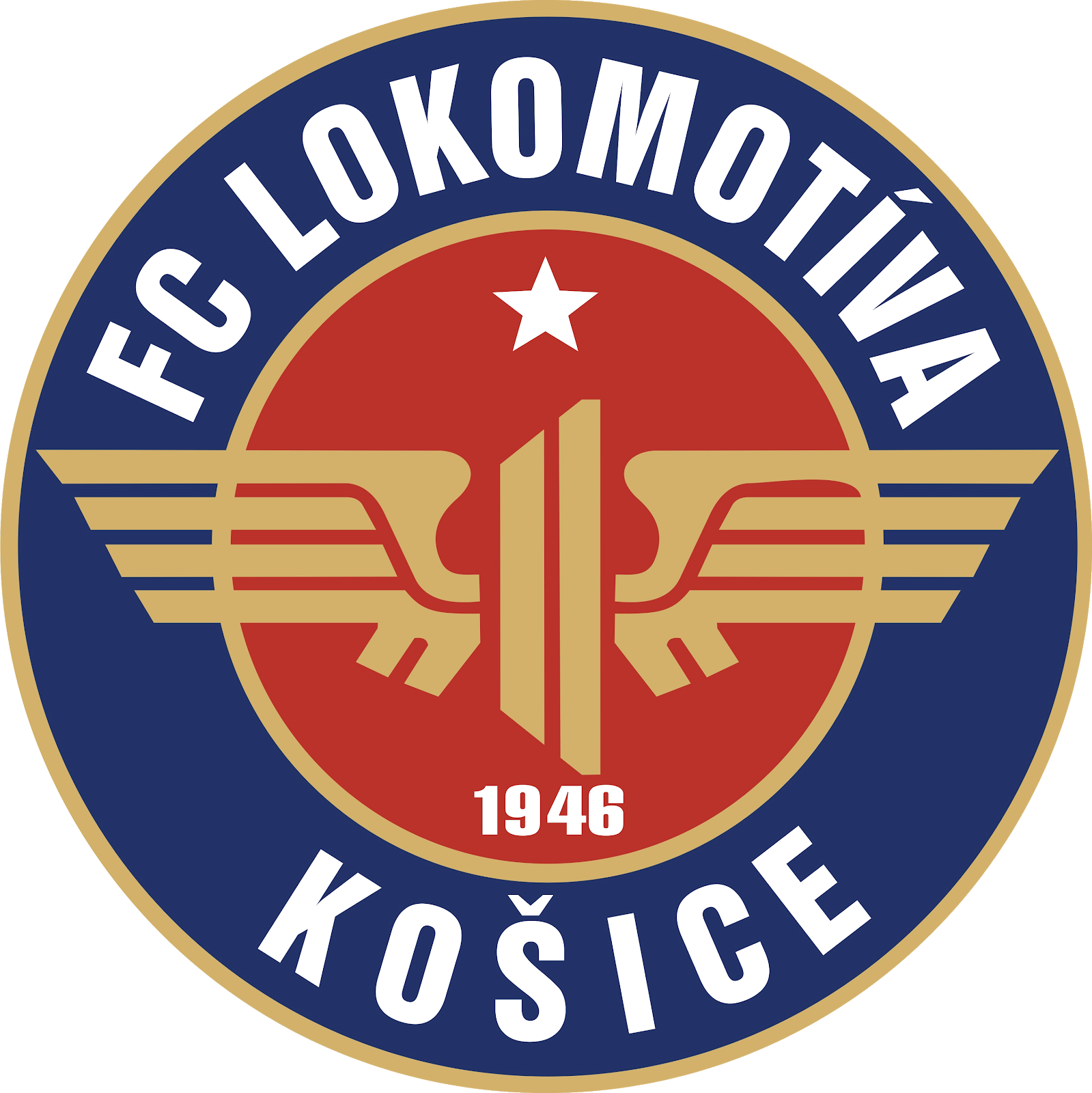 Úspechy v Československom pohári.