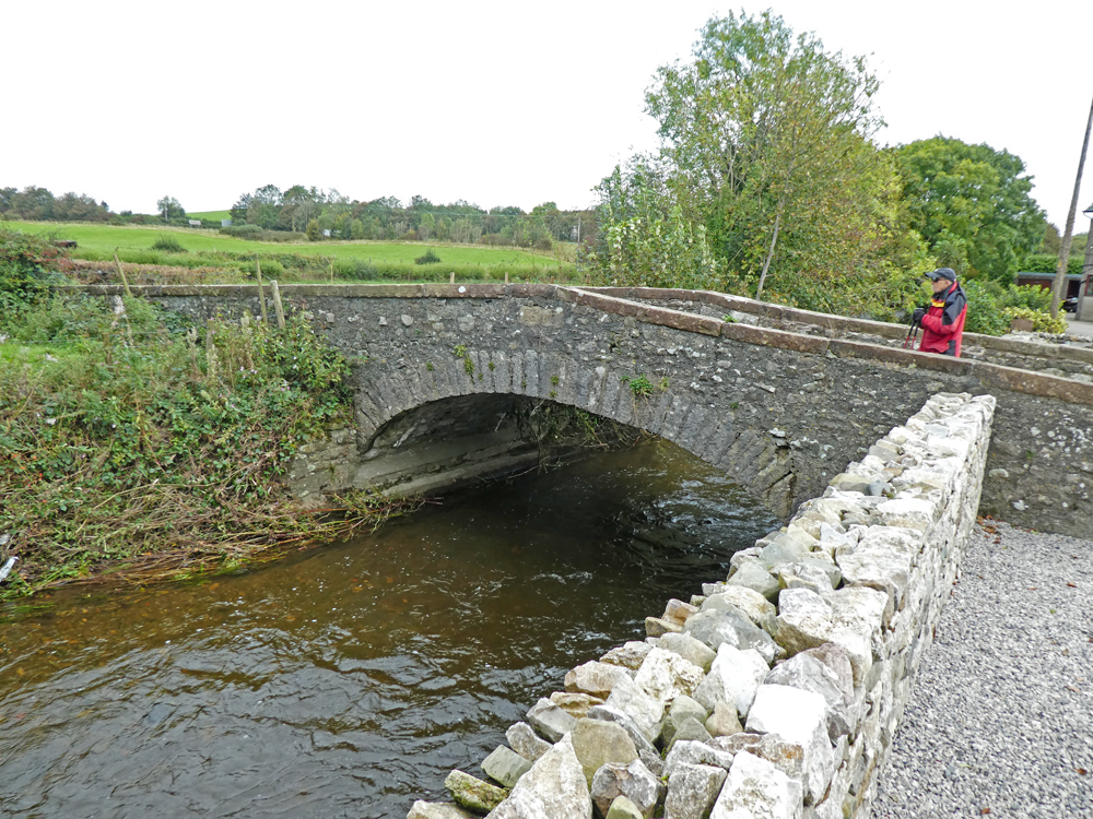 conradwalks: Farleton View