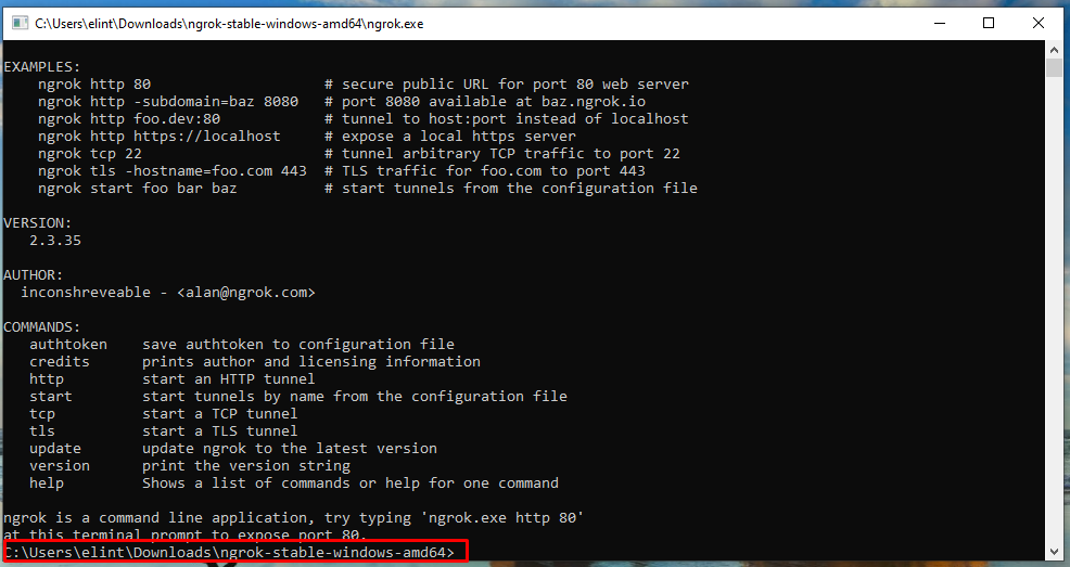 Tunnel Local Server To The Public Internet With Using Ngrok ~ 360learntocode 4764
