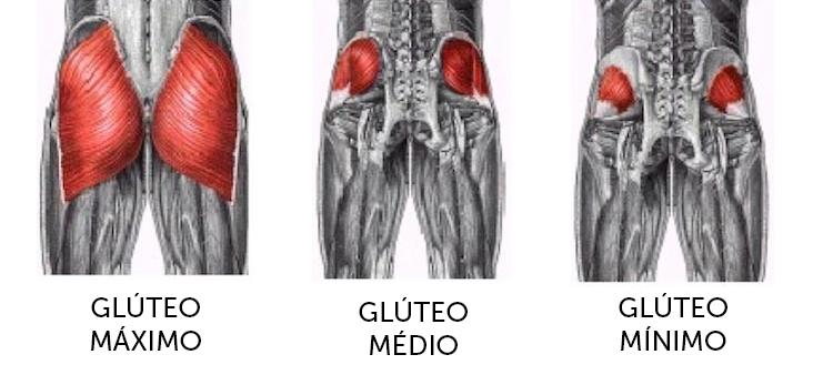 Glúteo ao Extremo Dicas para aumentar seu Bumbum 2020 - Método Bumbum ...