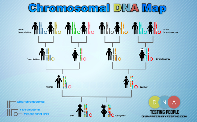 NephiCode: A Second, Closer Look at DNA - Part I