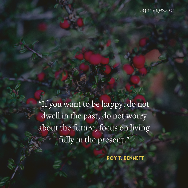 50 Best Life Quotes In English For WhatsApp DP Bqimages Beautiful 50-best-life-quotes-in-english-for-whatsapp-dp-bqimages-beautiful