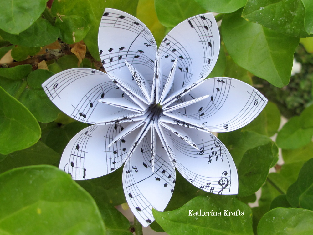 Katherina Krafts: Musical Jasmine?!!