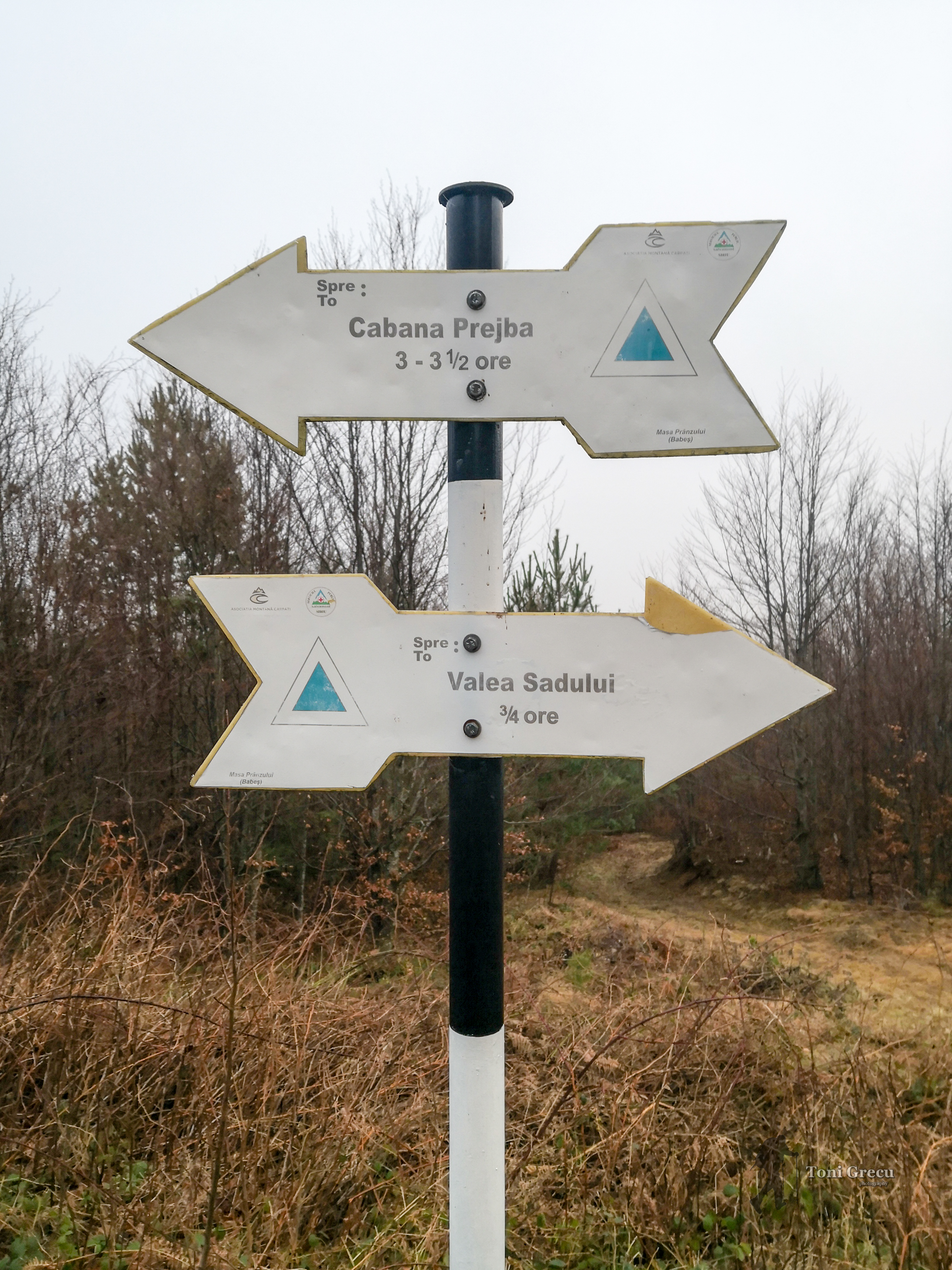 Varful Prejba - Cabana Prejba. Muntii Lotrului ~ Jurnal de drumeții