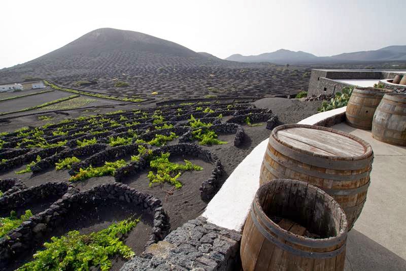 Duke World: Unique Vineyards of Lanzarote, Spain