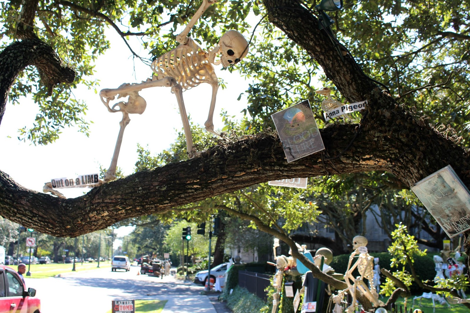 The Skeleton House: Halloween 2017 | A Very Sweet Blog