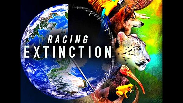 Πώς μπορούν να συνυπάρξουν σε ένα ντοκιμαντέρ τόσα πολλά φαινομενικά ...