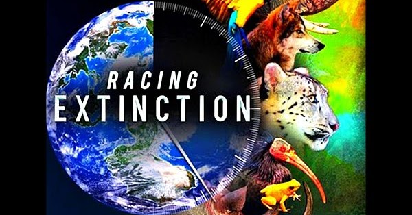 American Film Showcase 2017: Racing Extinction (2015) - FilmBoy