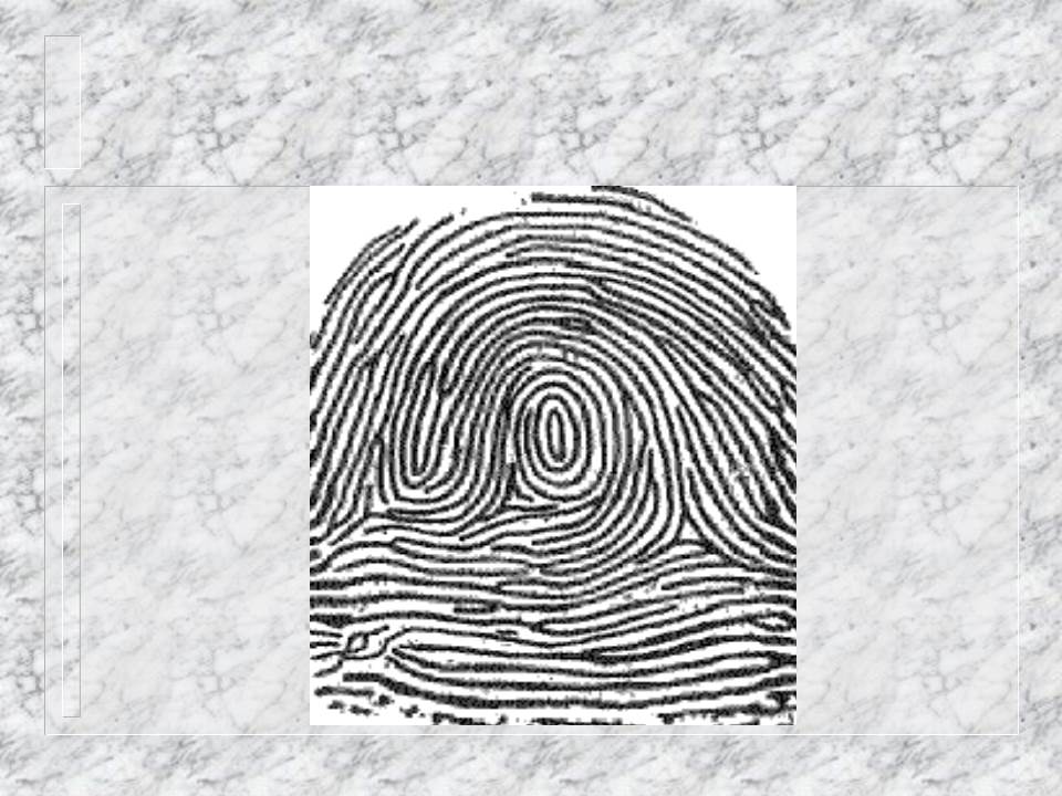 willialdanaeureka: EVOLUCIÓN E HISTORIA DE LA DACTILOSCOPIA
