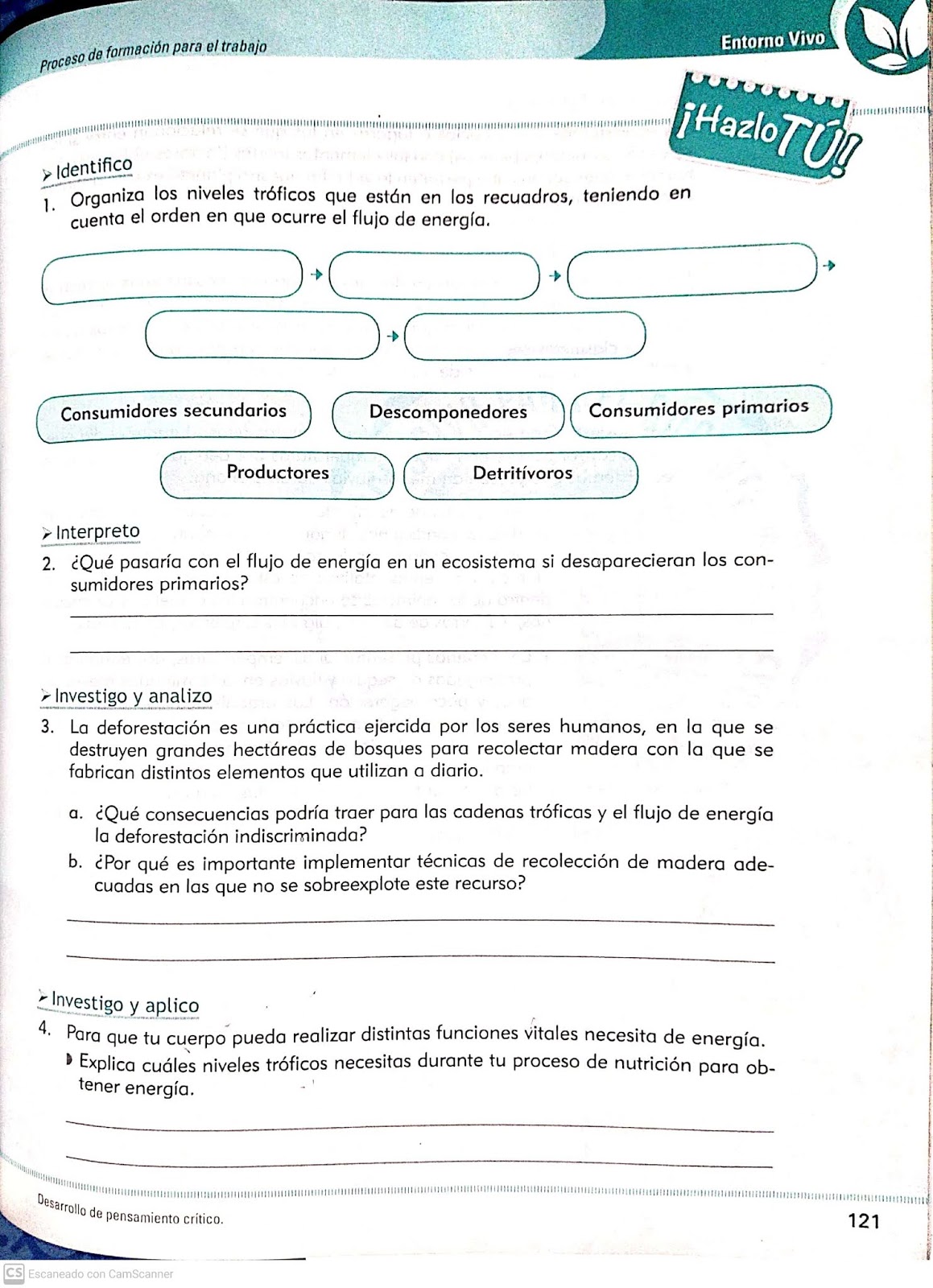 LICEO LOS ÁNGELES : FLUJO DE ENERGÍA DE LOS ECOSISTEMAS - Ciencias ...