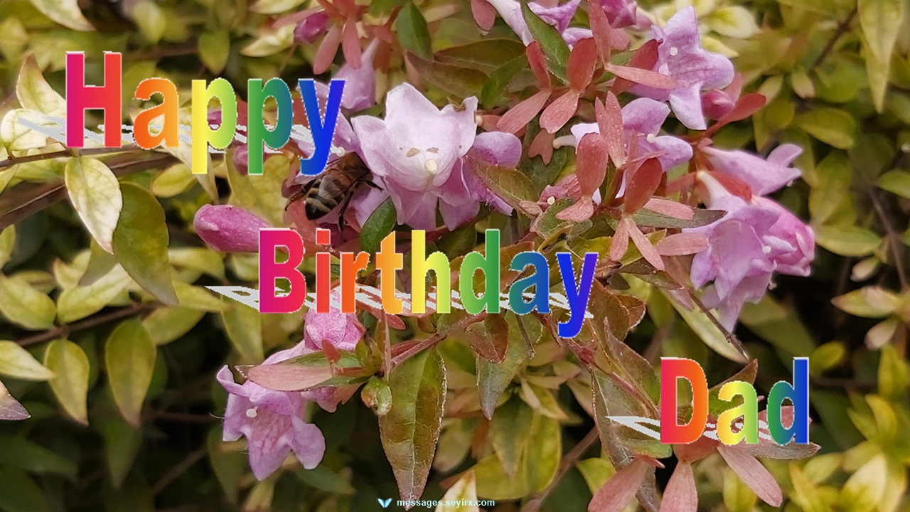 Happy Birthday Dad images - HBDAY.ART