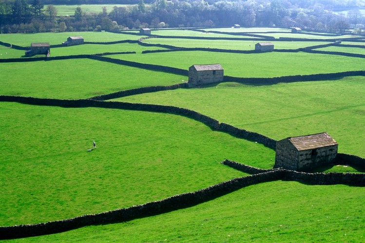 VÍDEO SOBRE LES ENCLOSURE ACTS