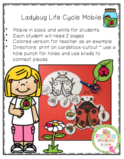 Ladybug Life Cycle Mobile Craft ~ Preschool Printables