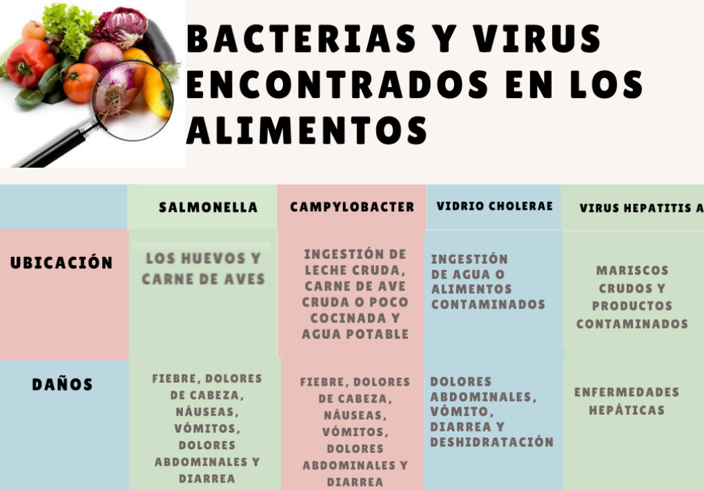 La importancia de la inocuidad en la salud