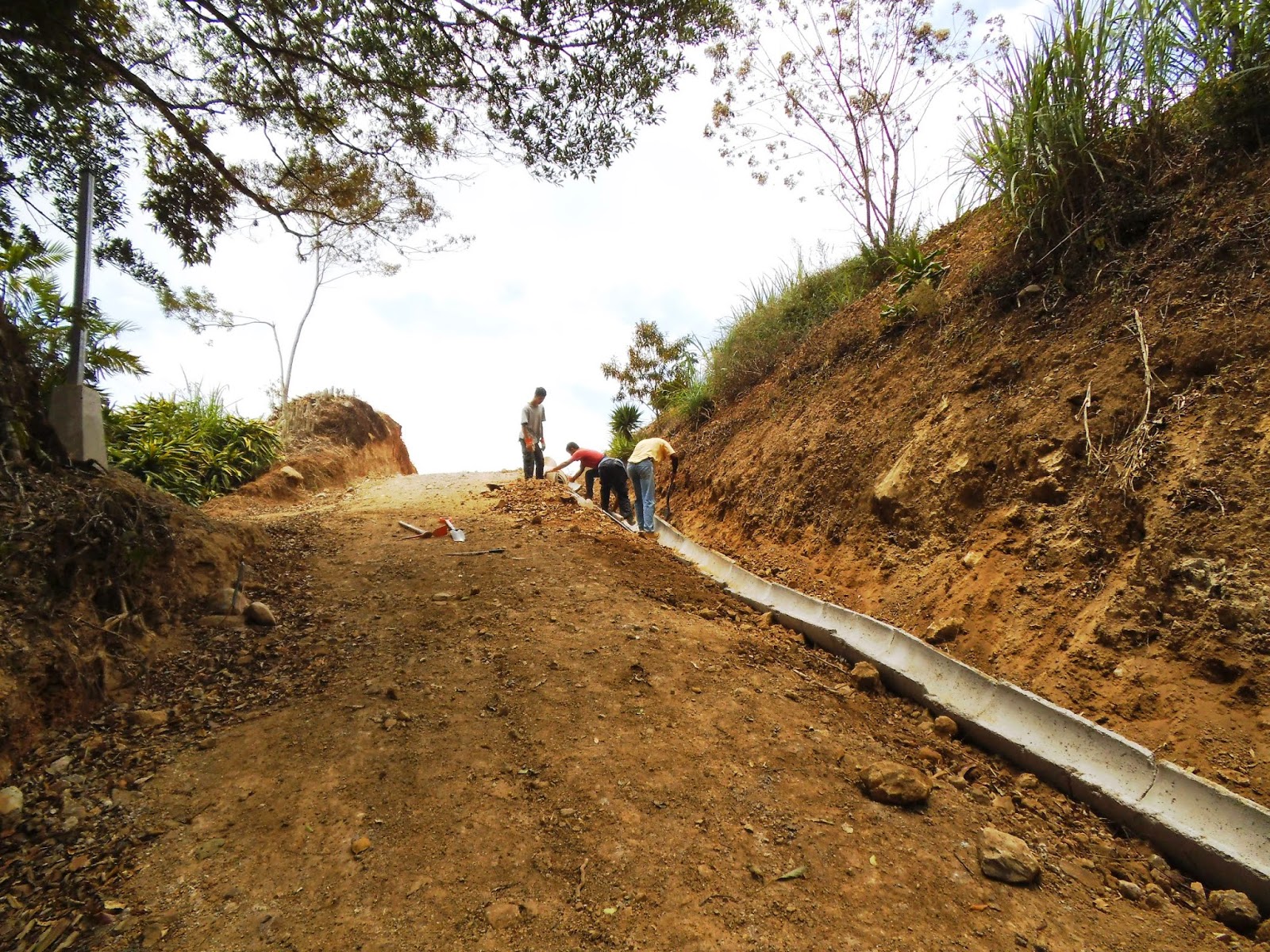 Costa Rica Rose: So...What is a Cuneta?