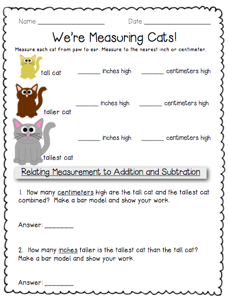 The Teacher's Chair: We're Measuring Cats and Dogs!