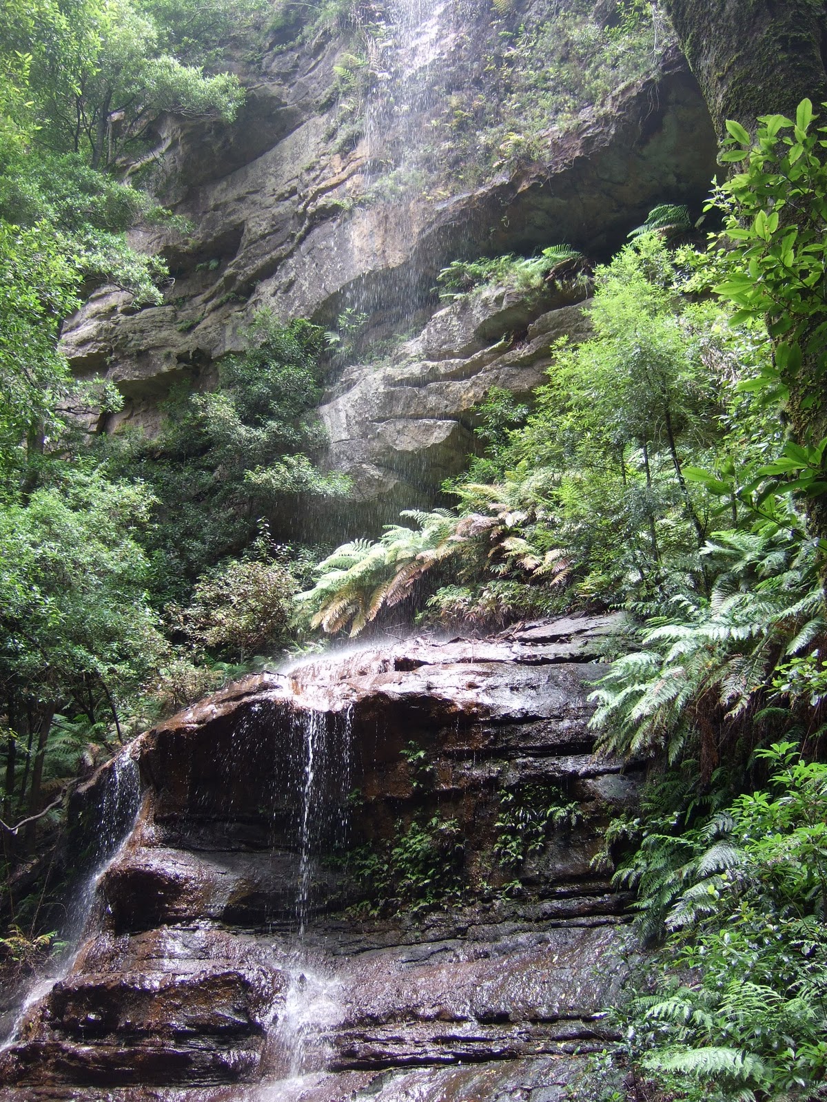 Barb + Rob Down Under: Katoomba Falls