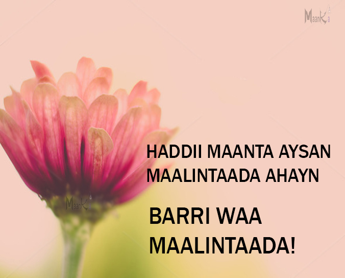 Xikmad Dhiiri-galin | Xikmado