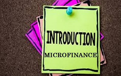 You Should Know About Microfinance Service