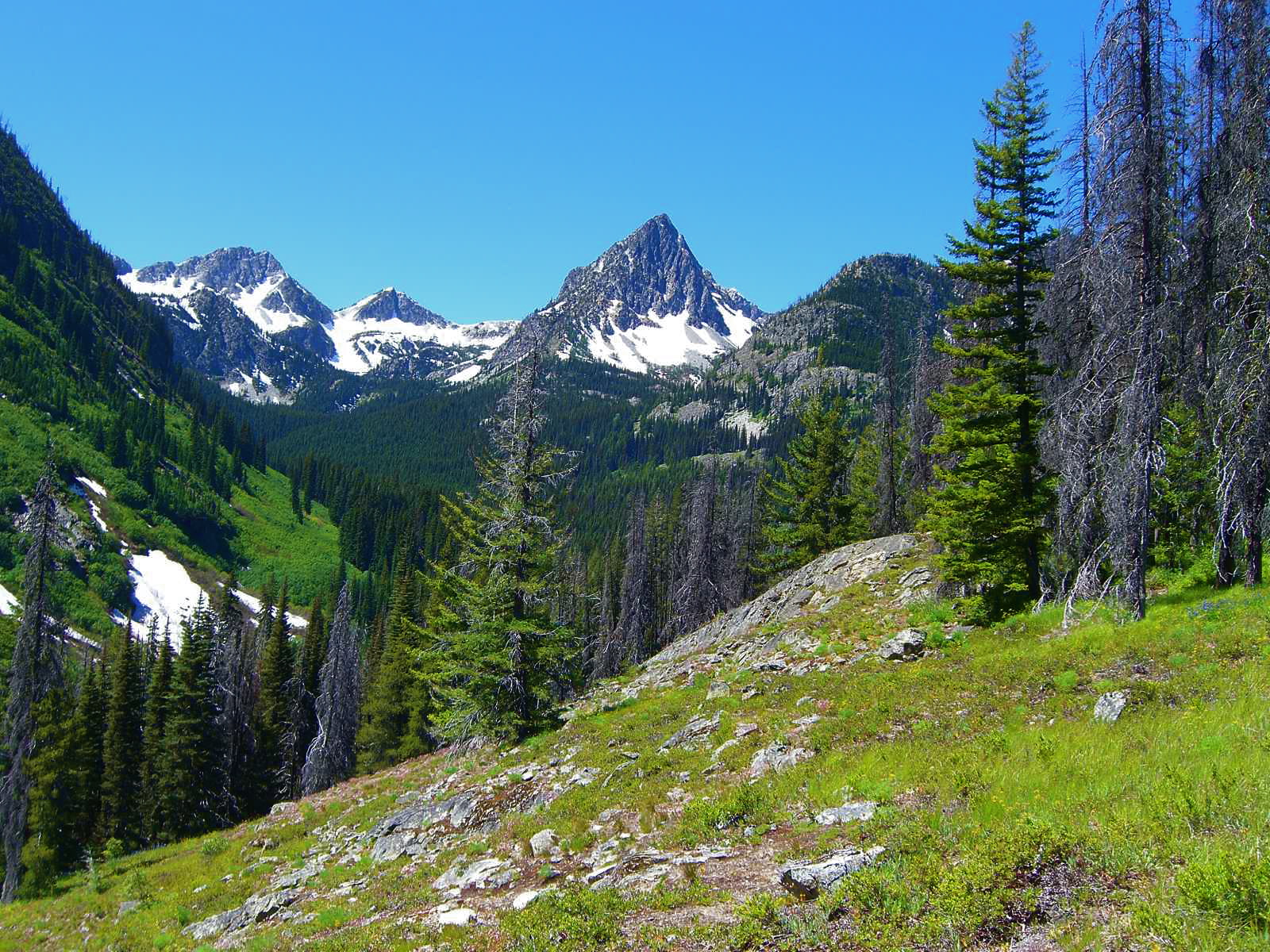 Blunt About Food: Last weekend up Twisp Pass